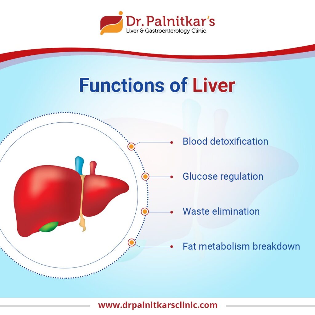 Functions of liver - Dr Sachin Palnitkar
